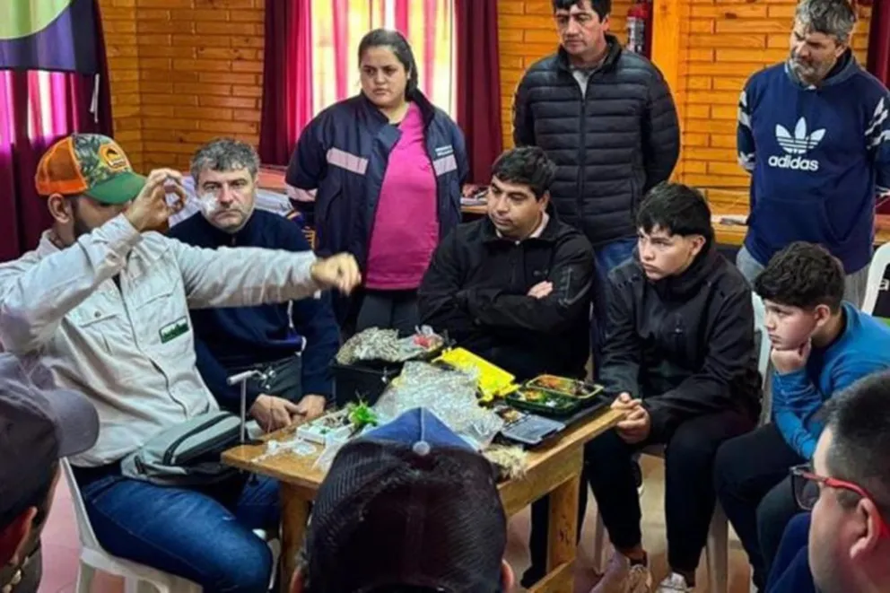 Elefire grey nude leak arrangement was easy; normal